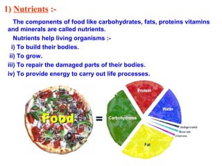 Nutrition in Plants | PPT