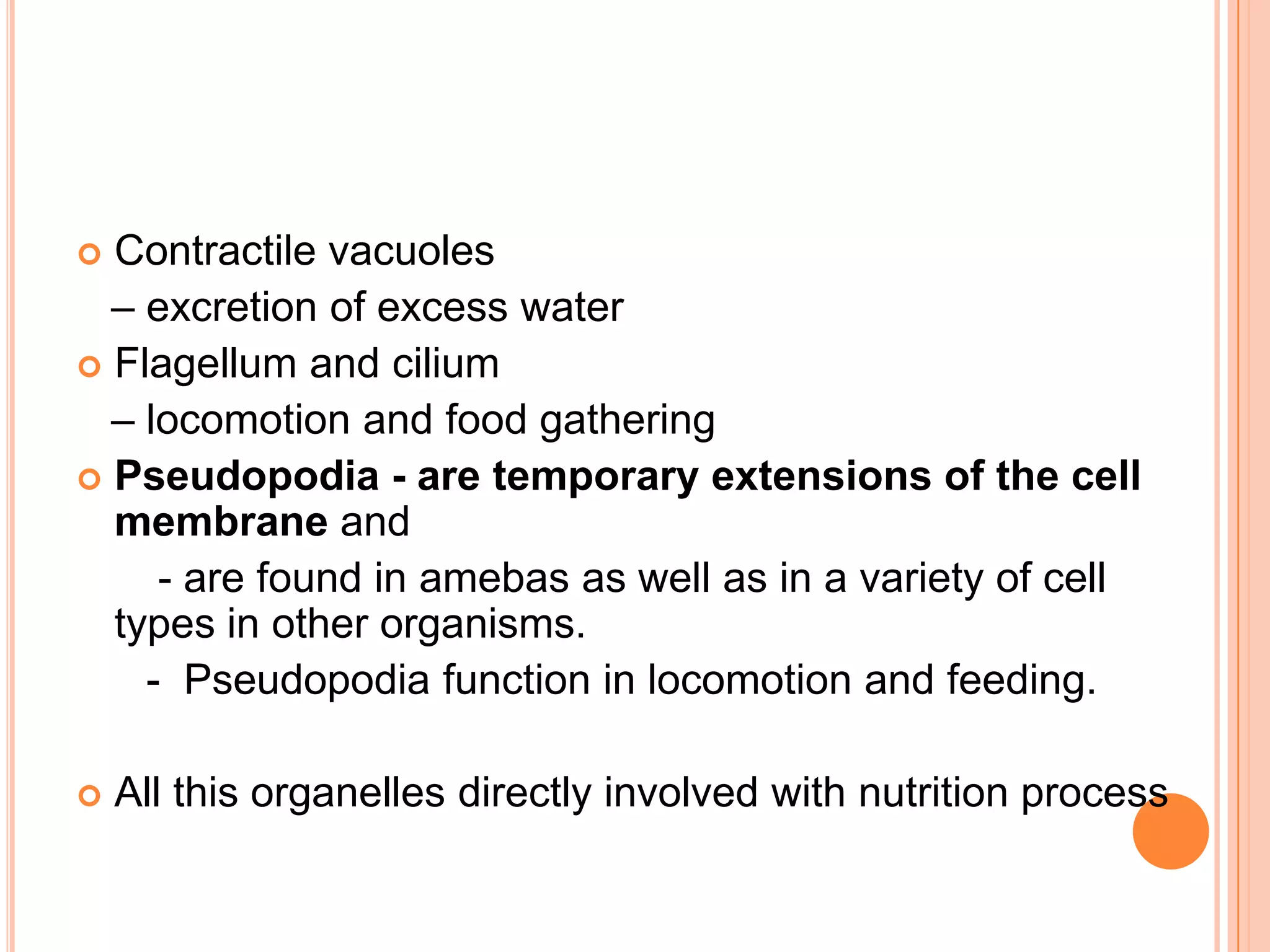 1 nutrition in protozoa | PPTX