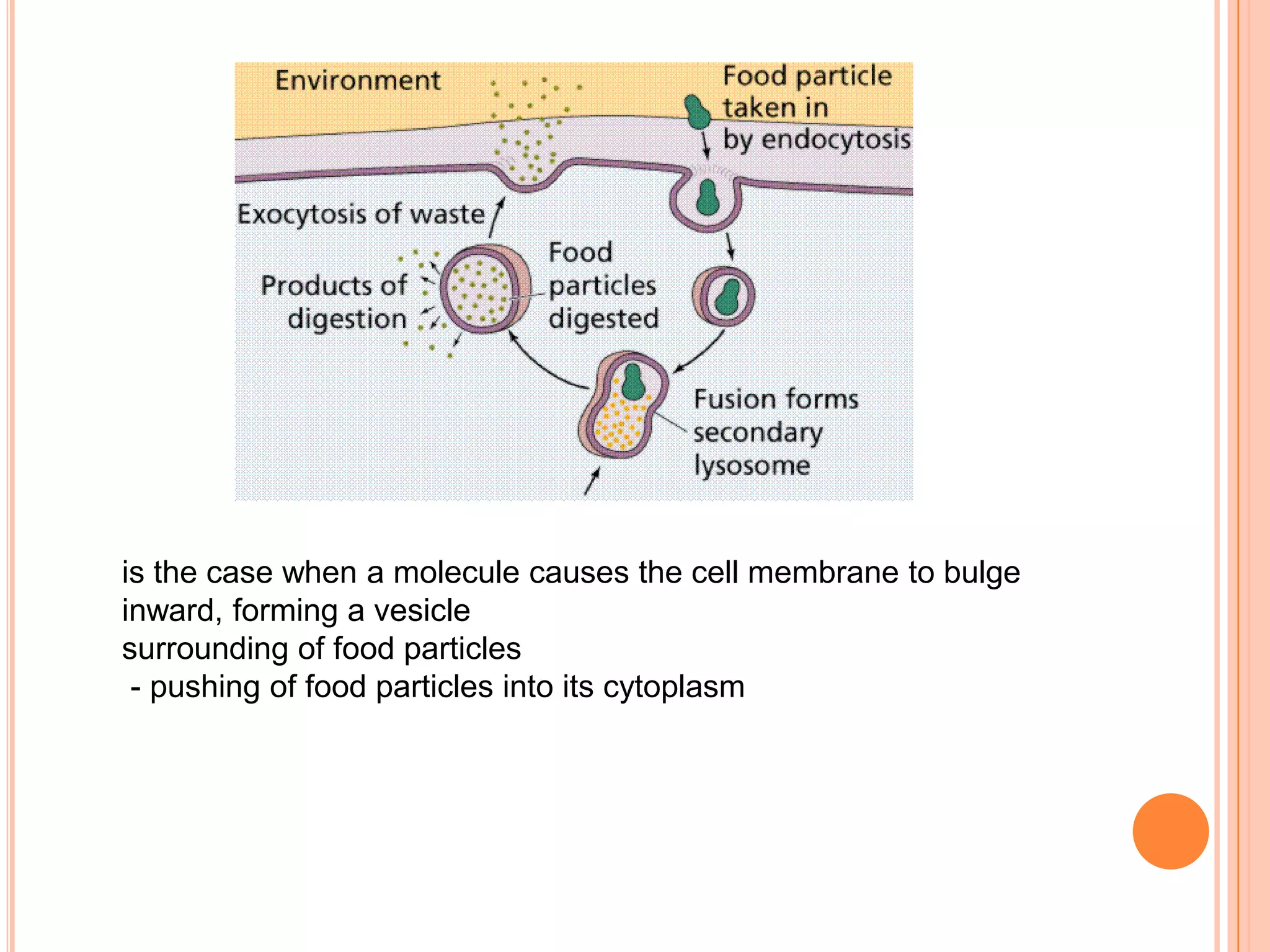 1 nutrition in protozoa | PPTX