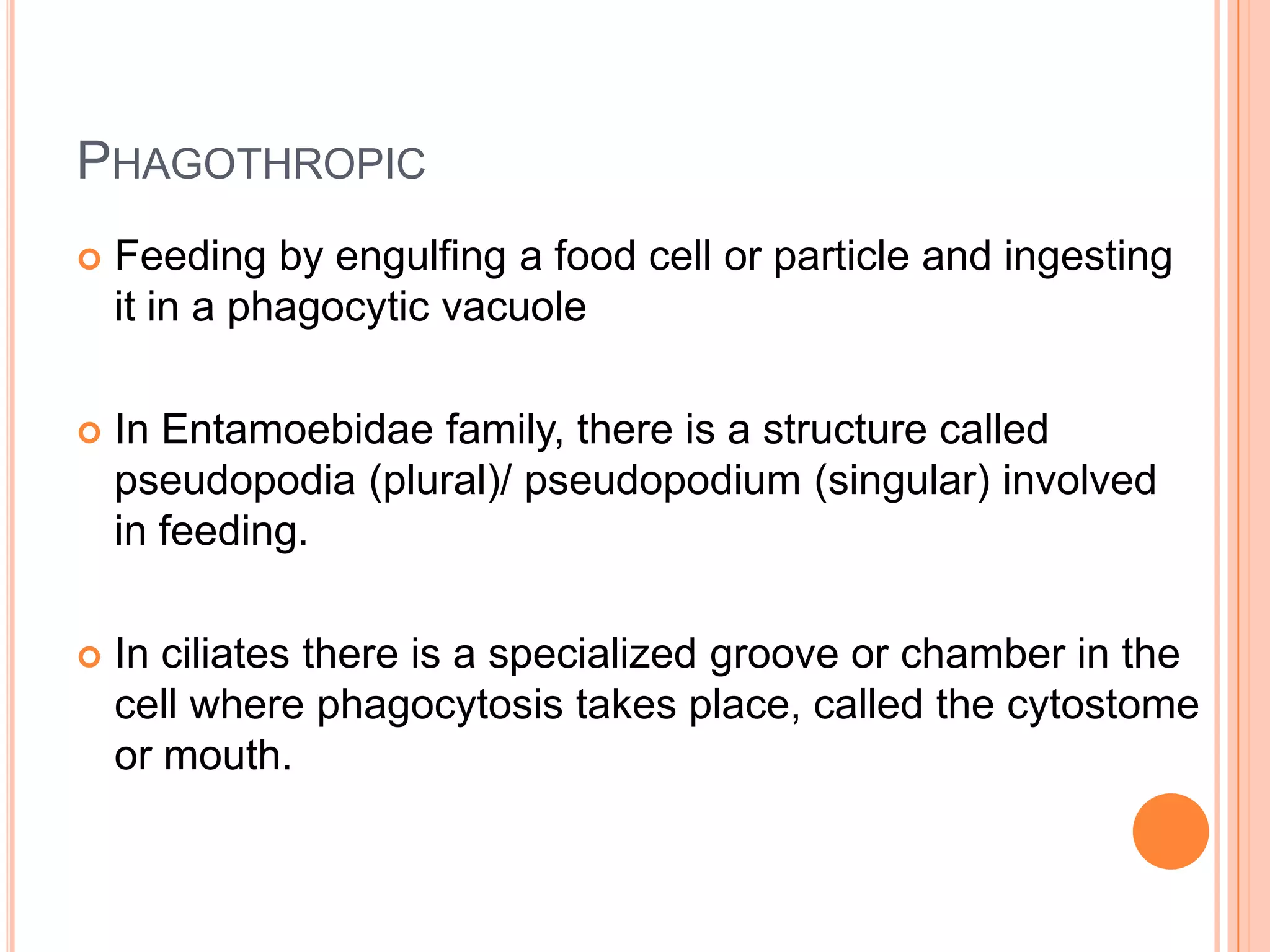 1 nutrition in protozoa | PPTX