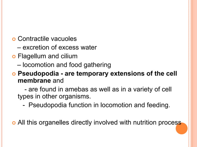 1 nutrition in protozoa | PPTX | Biological Sciences | Science