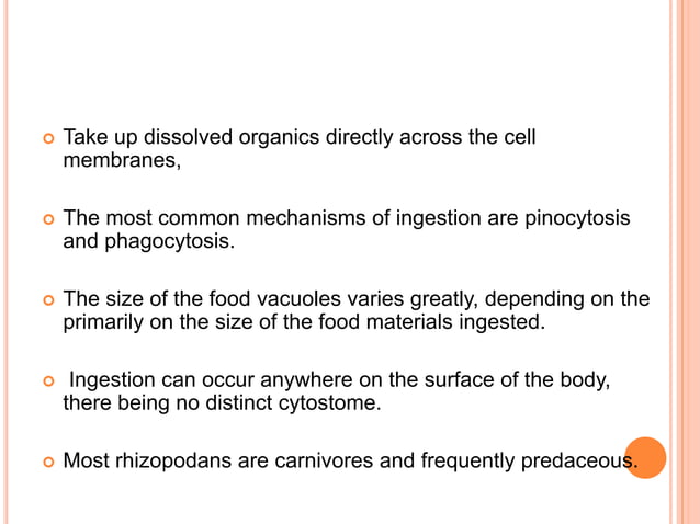 1 nutrition in protozoa | PPTX | Biological Sciences | Science