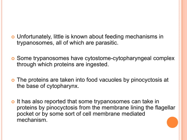 1 nutrition in protozoa | PPTX | Biological Sciences | Science