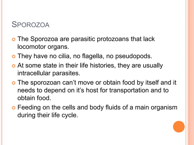 1 nutrition in protozoa | PPTX | Biological Sciences | Science