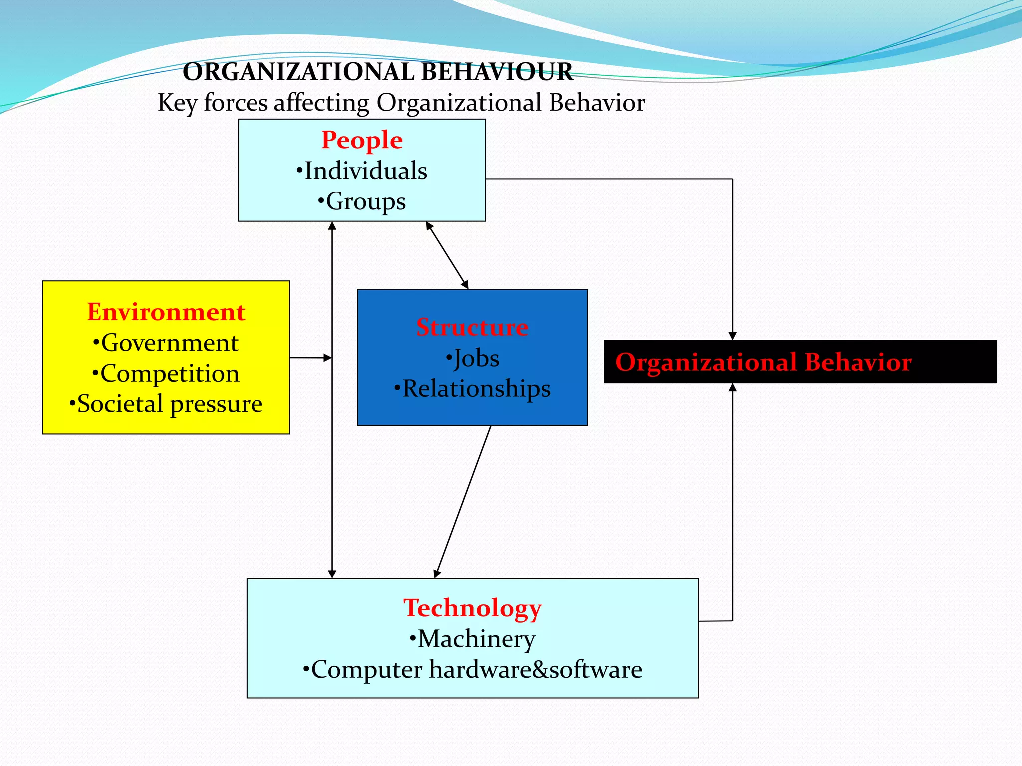 Organizational Behaviour | PPTX