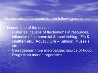 Ocean126_2006.ppt