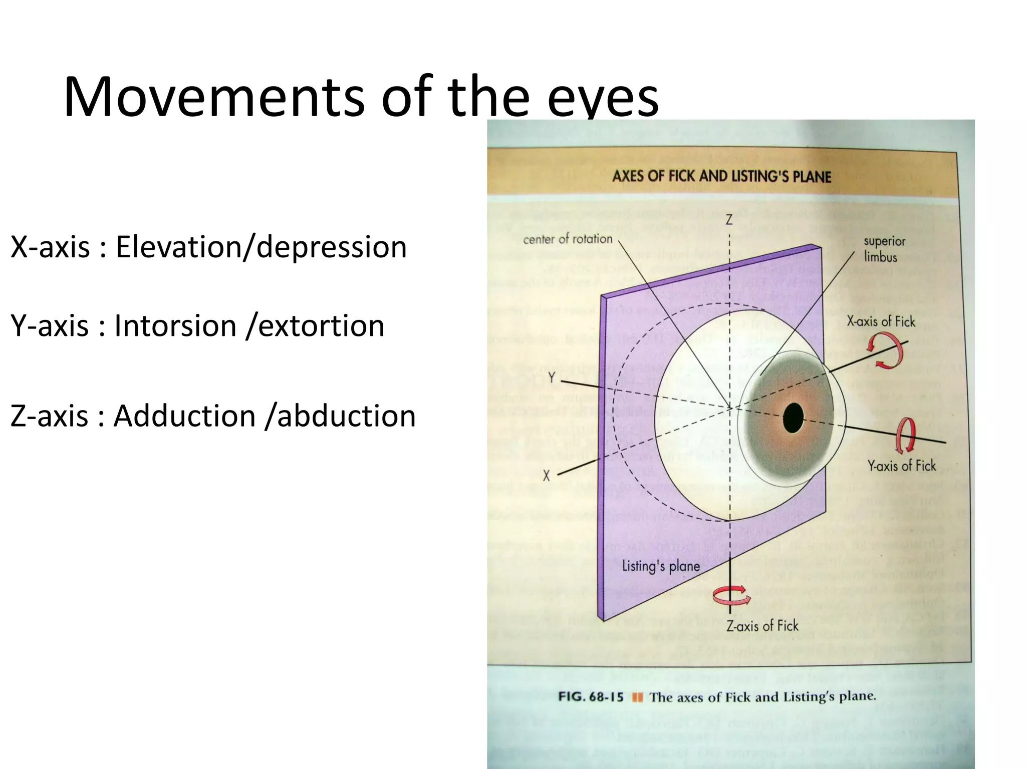 ocular motility an introduction 14.07.16 Prof.K.N. Jha | PDF | Eye and ...