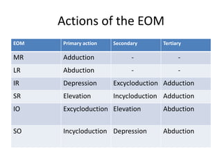 ocular motility an introduction 14.07.16 Prof.K.N. Jha | PPT