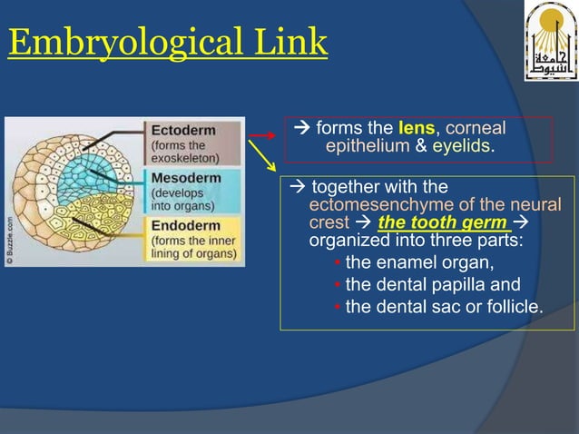 1 Ophthalmology introduction.pptx