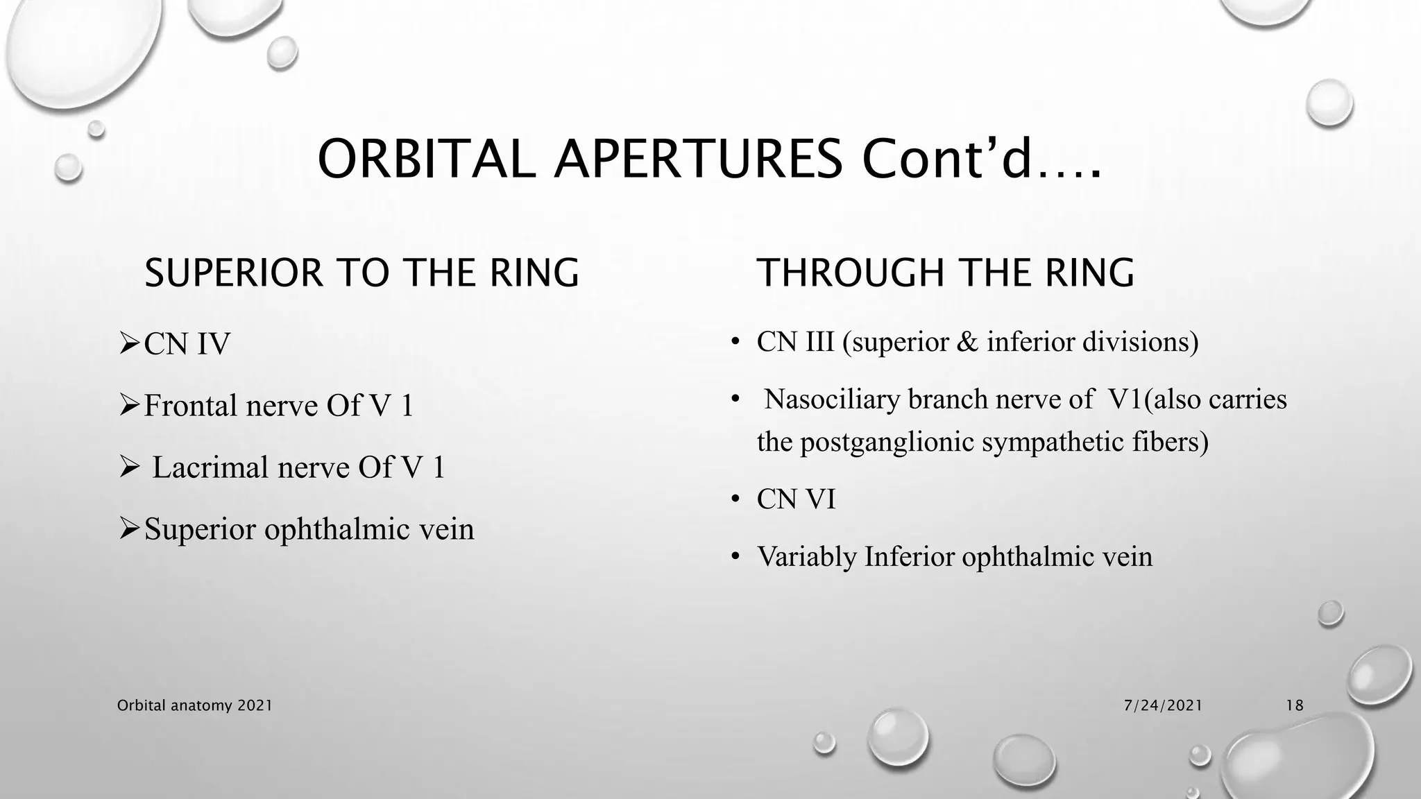 1 orbital anatomy | PPTX
