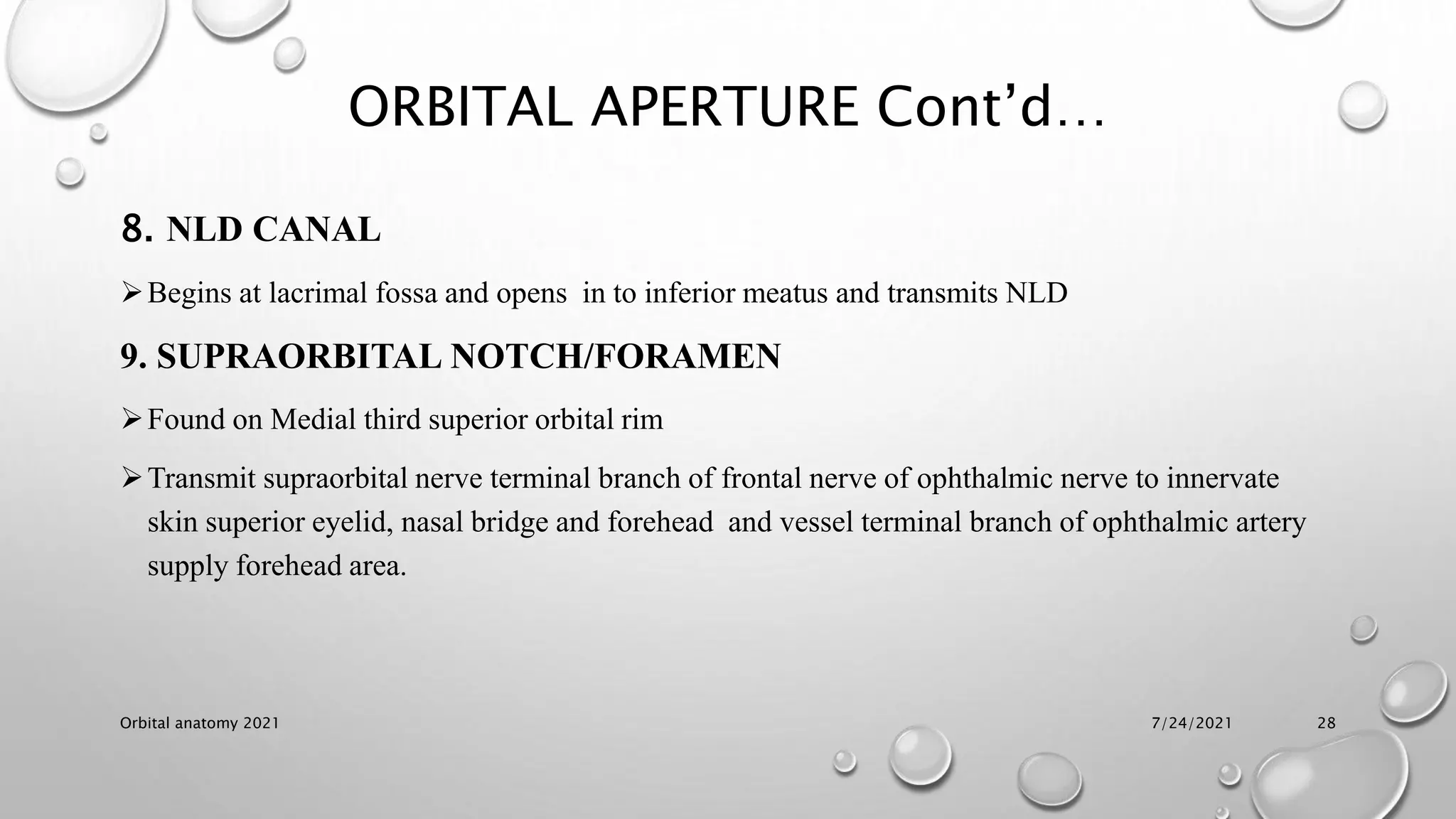 1 orbital anatomy | PPTX