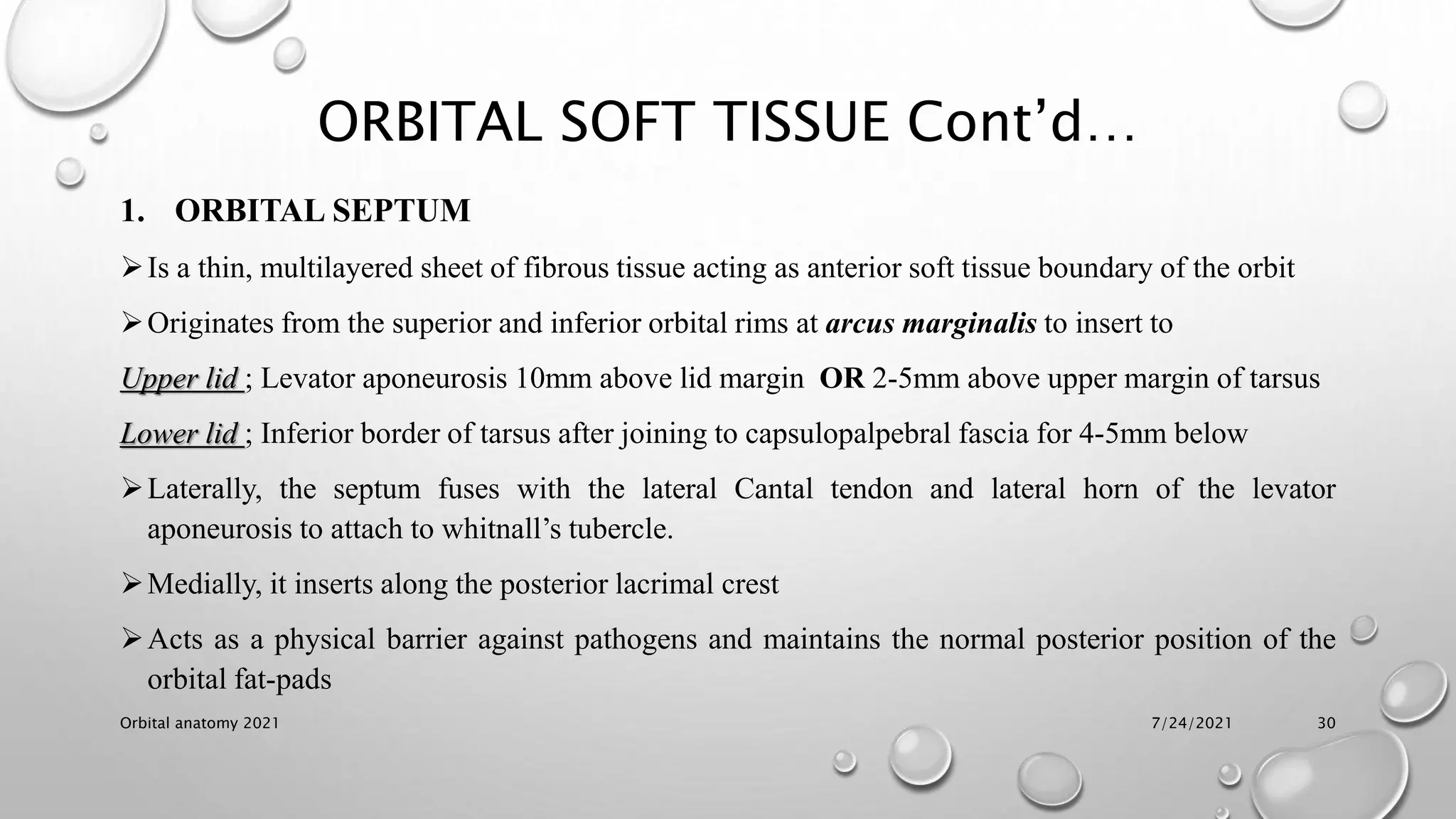 1 orbital anatomy | PPTX