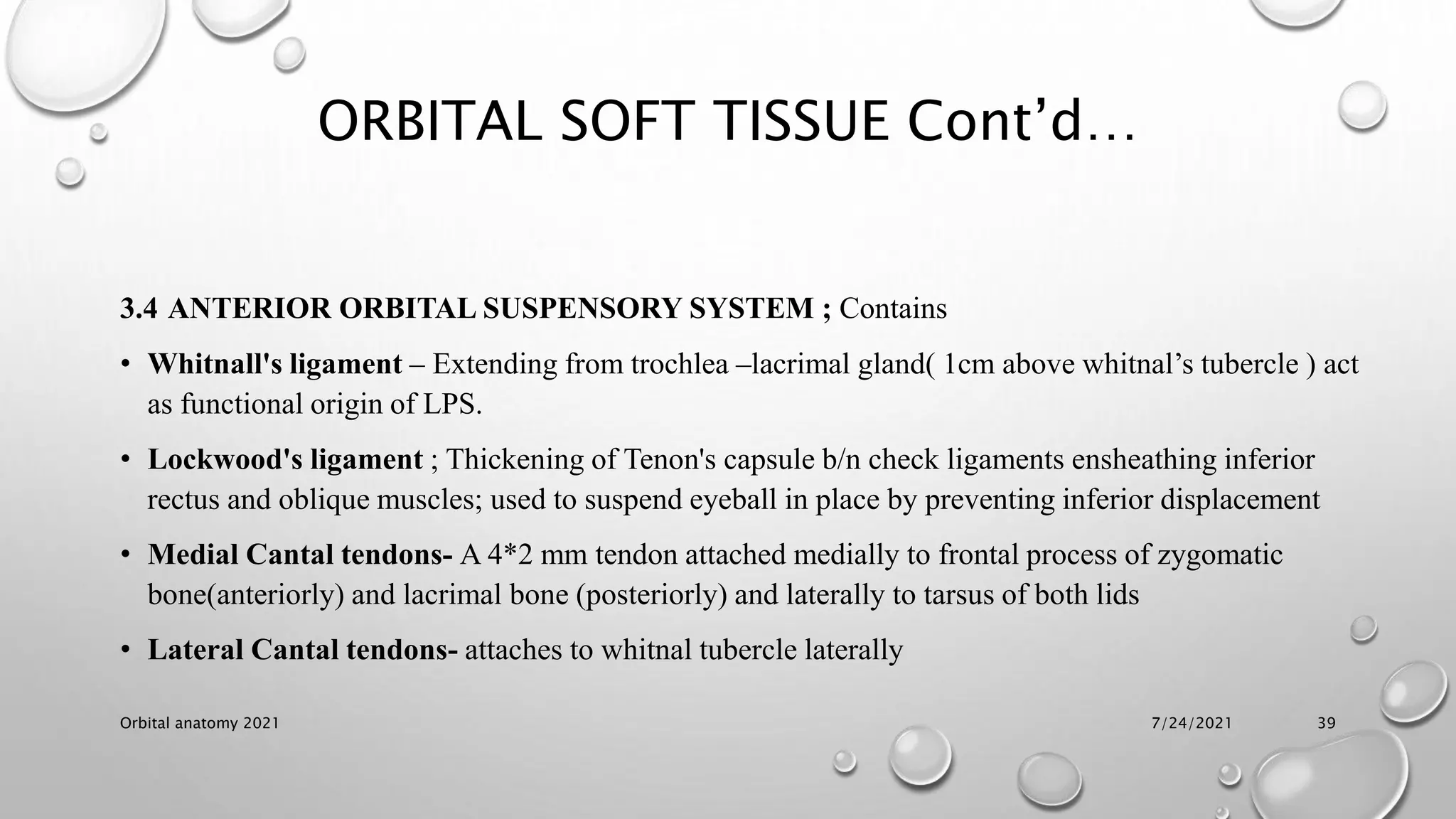 1 orbital anatomy | PPTX