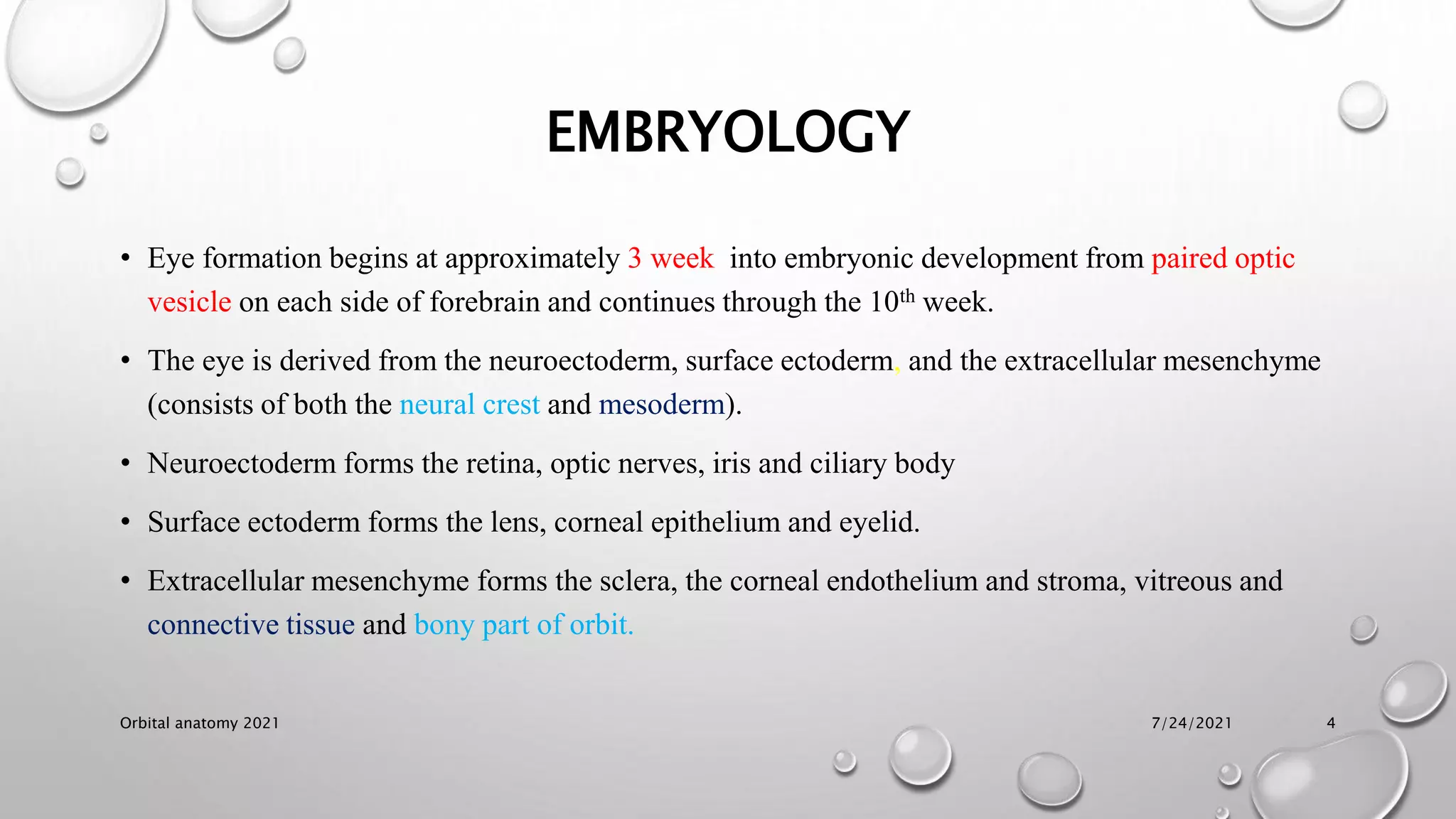 1 orbital anatomy | PPTX