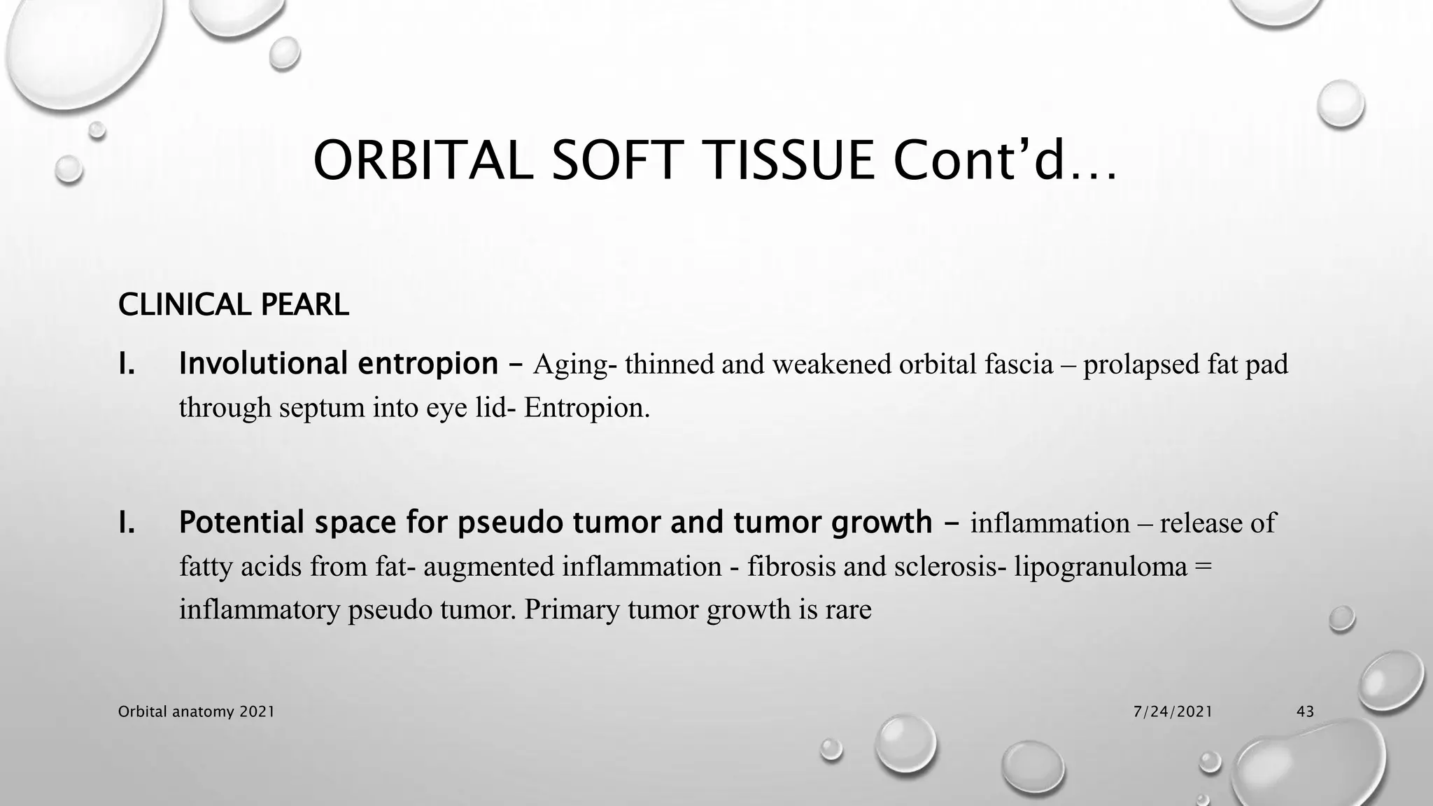 1 orbital anatomy | PPTX