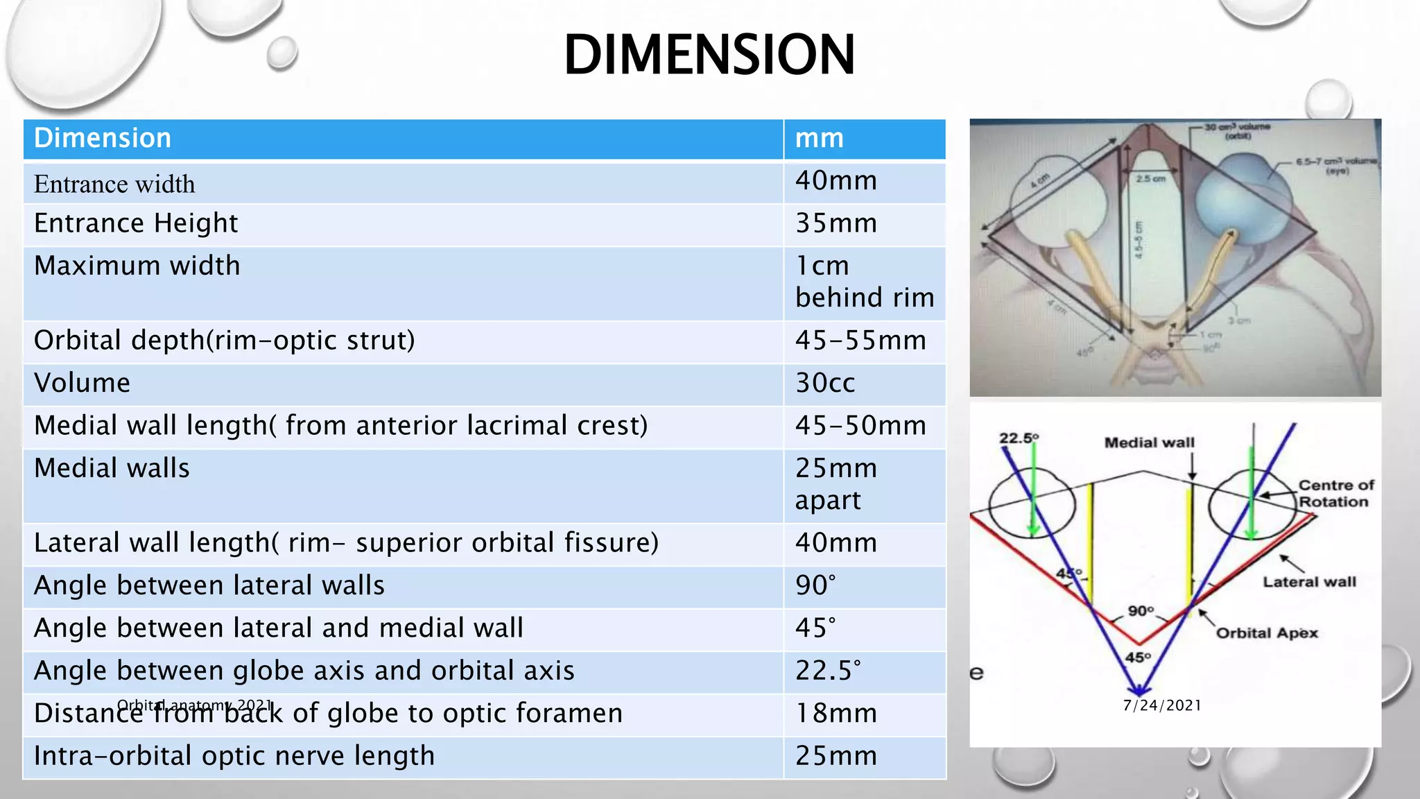 1 orbital anatomy | PPTX