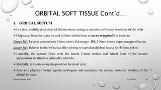 1 orbital anatomy | PPTX