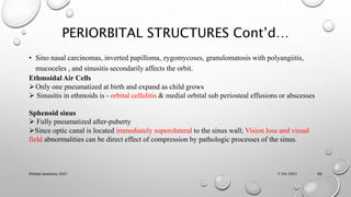 1 orbital anatomy | PPTX