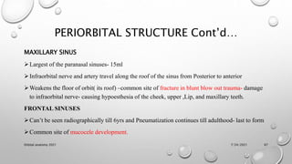 1 orbital anatomy | PPTX