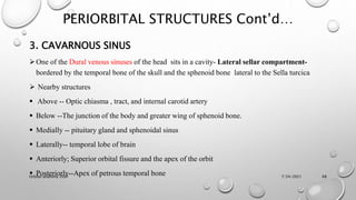 1 orbital anatomy | PPTX