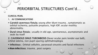 1 orbital anatomy | PPTX
