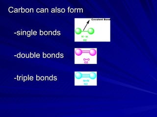 1 organic compounds | PPT