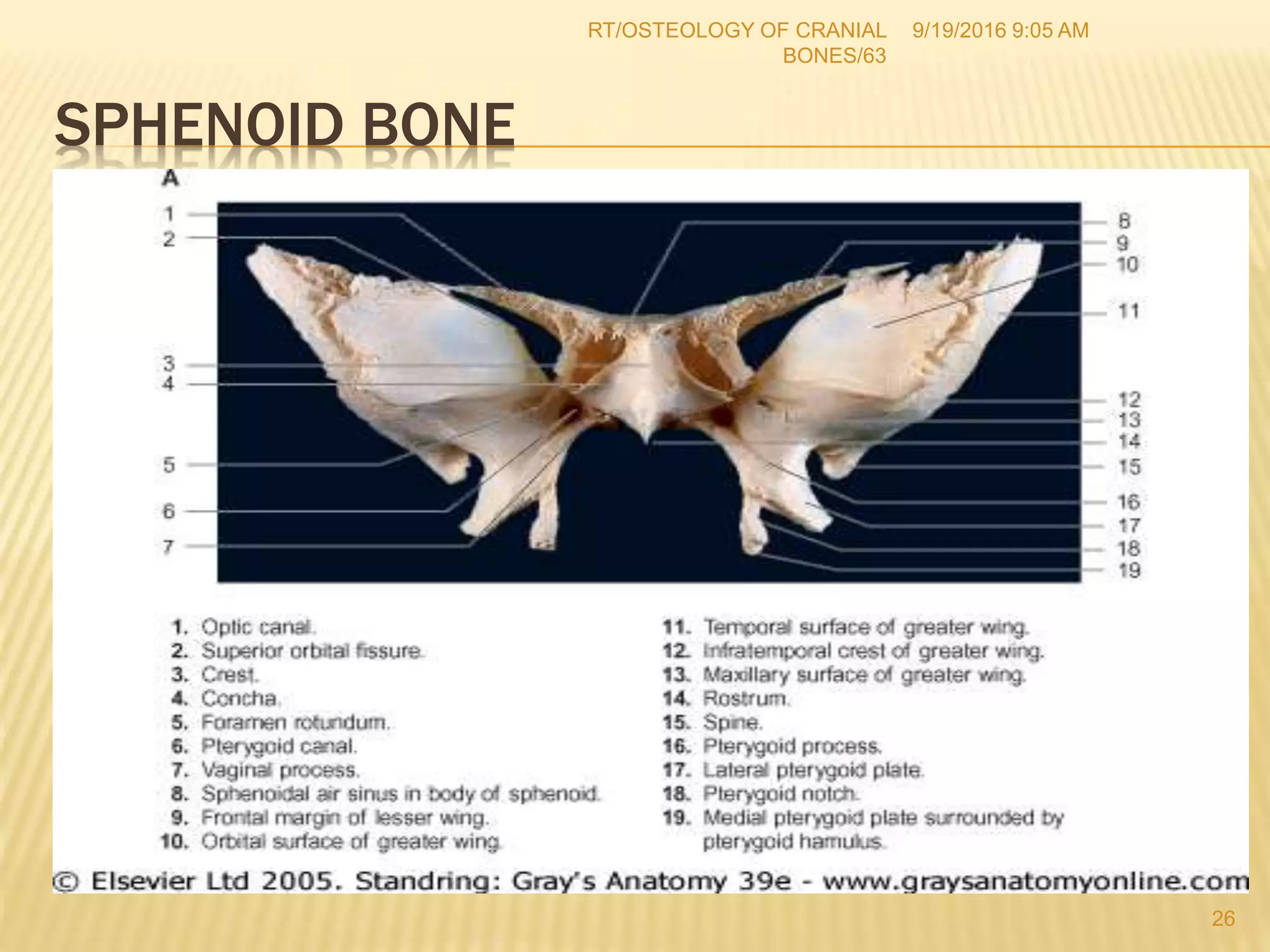 1 osteology of cranial bones rt(67) Dr. RAHUL TIWARI | PPTX