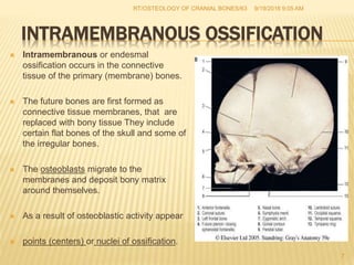 1 osteology of cranial bones rt(67) Dr. RAHUL TIWARI | PPTX