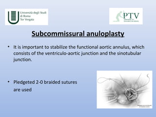 Aortic valve repair | PPT