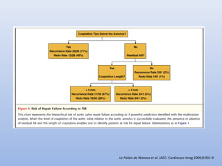 Aortic valve repair | PPT
