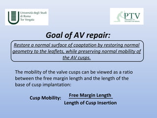 Aortic valve repair | PPT