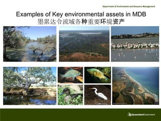 1 overview of a water management plan for the murray darling basin ...