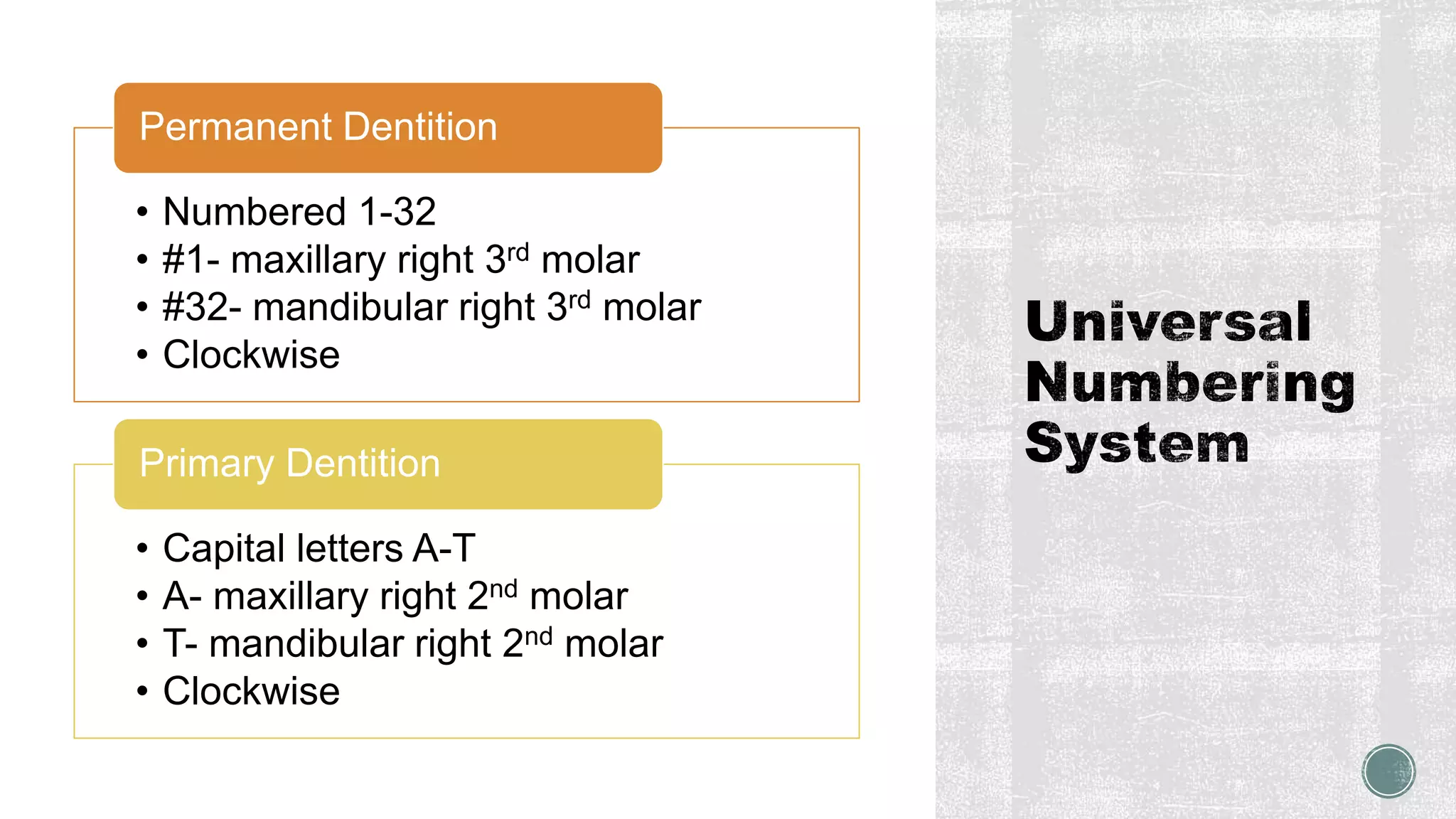 Overview of Dentitions | PPTX