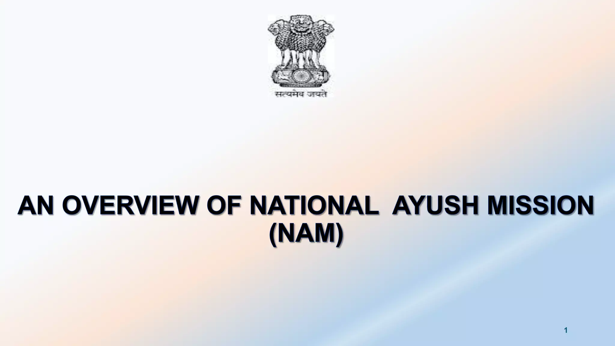 1 Overview of NAM.pptx
