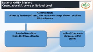 1 Overview of NAM.pptx