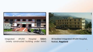 1 Overview of NAM.pptx | Healthcare Industry | Industries