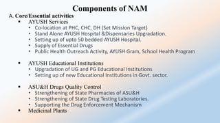 1 Overview of NAM.pptx