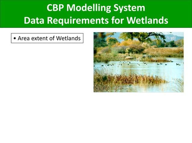 1 overview of the cbp tools and data requirements | PDF