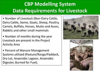 1 overview of the cbp tools and data requirements | PDF