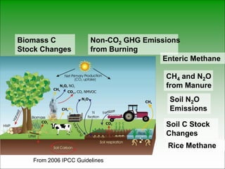 1 overview of the cbp tools and data requirements | PDF