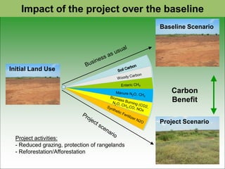 1 overview of the cbp tools and data requirements | PDF