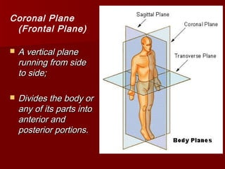 1 RIS Hemodynamics | PPT