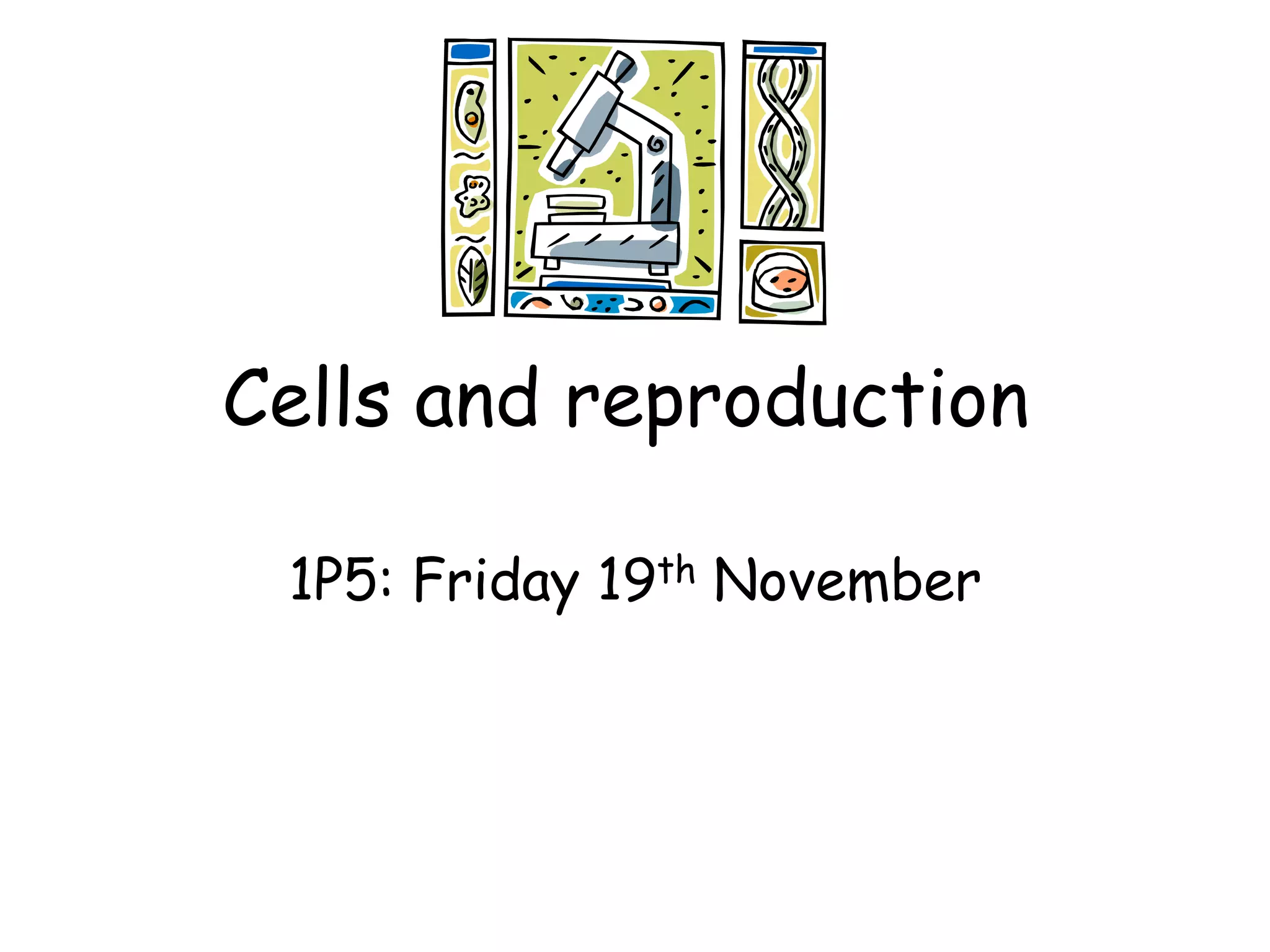 1 p5 cells 191110 | PPT