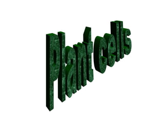 1 p5 cells 191110 | PPT