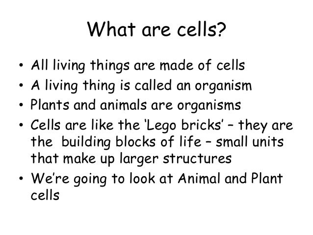 Yttrium Element Cell Science Notes And Projects