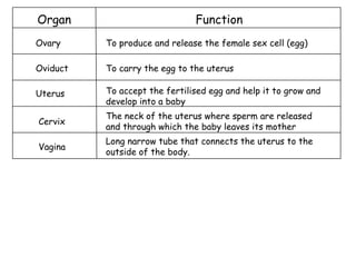 1 p5 sex organs 031210 | PPT
