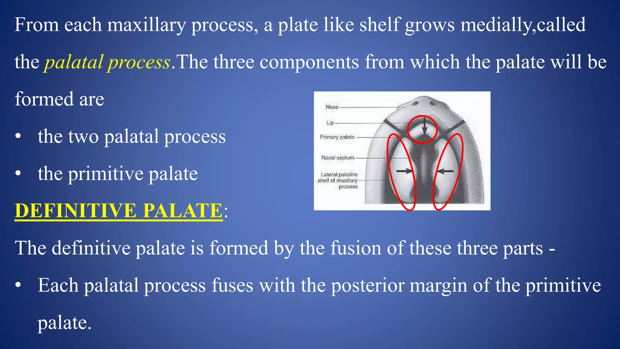 DEVELOPMENT OF PALATE AND ITS ANOMALIES | PPTX