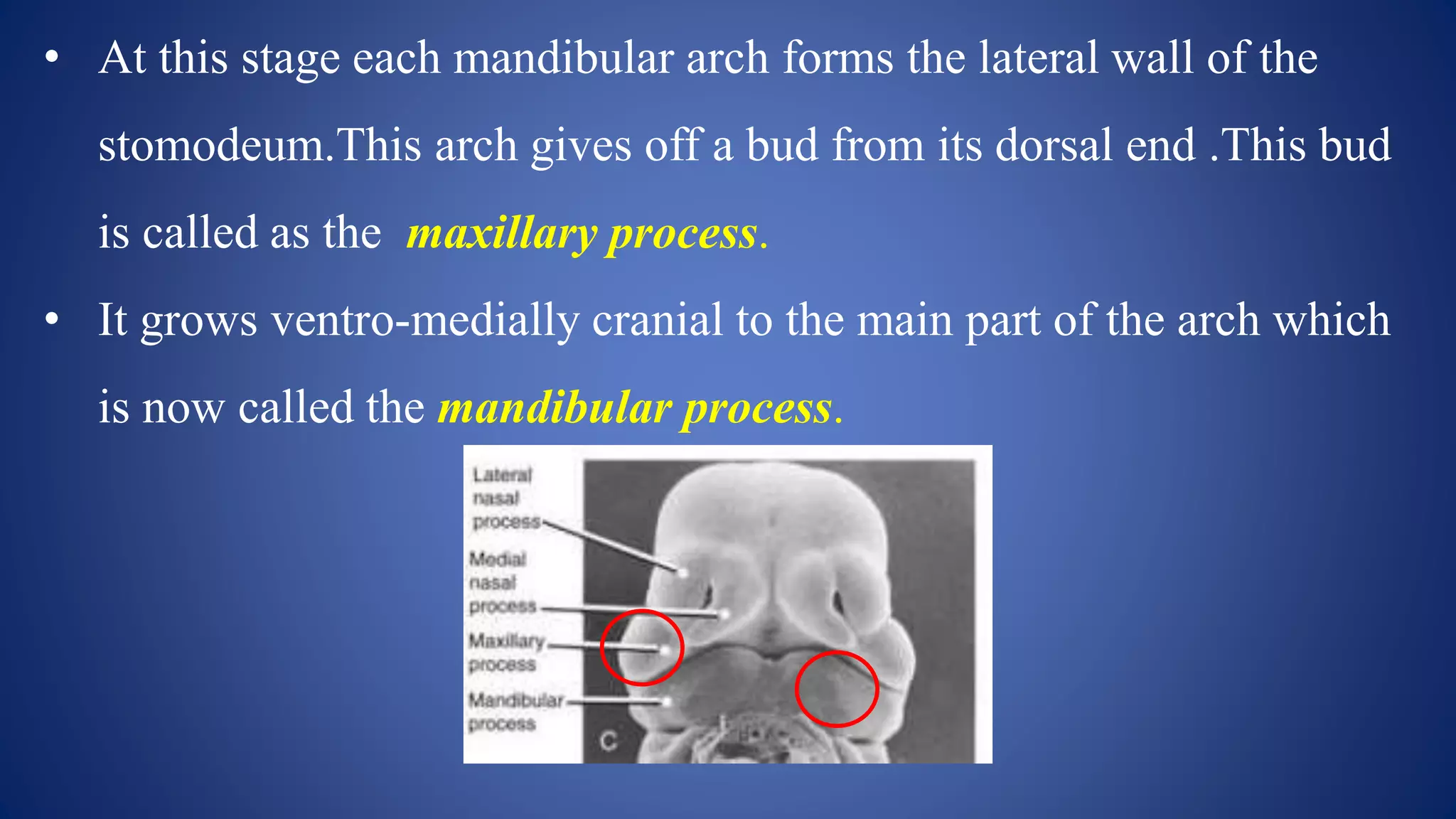DEVELOPMENT OF PALATE AND ITS ANOMALIES | PPTX