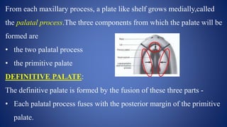 DEVELOPMENT OF PALATE AND ITS ANOMALIES | PPTX