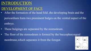 DEVELOPMENT OF PALATE AND ITS ANOMALIES | PPTX